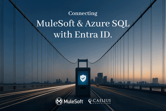 Generating Secure Properties in Mule 4 - Caelius Consulting