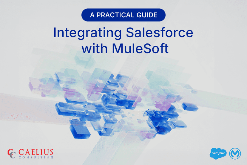 Integrating Salesforce with MuleSoft: A Practical Guide - Caelius ...